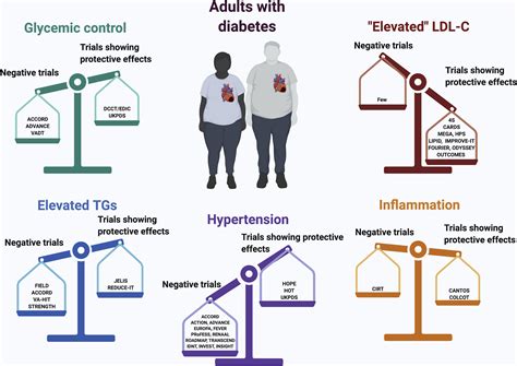 Cardiovascular Disease In Diabetes Beyond Glucose Cell Metabolism