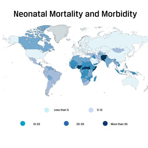 Lack Of Access To Maternal Healthcare In Sub Saharan Africa Ballard Brief