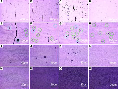 Representative Microstructure Of Samples With Scanning Speed 1100 Mm S