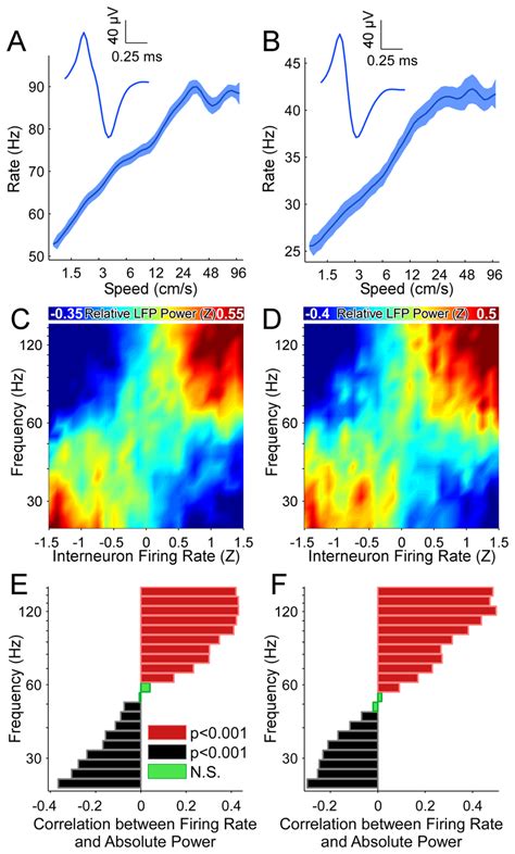 Firing Rates Of Individual Interneurons Correlate With The Gamma