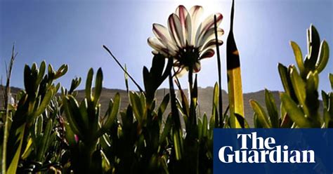 Partnerships Between Ngos And Companies Can Protect Ecosystems