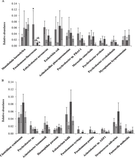 Relative Abundance Of The 20 Most Abundant Species The 10 Most