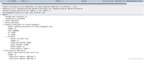 Dhcpv6 原理浅谈 报文示例 简易配置 Slaac Dhcpv6 Pd前缀代理 Rfc8415 Dhcpv6报文 Csdn博客
