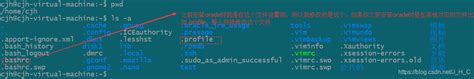 ubuntu中打开vim出现错误： usr lib x86 64 linux gnu libpython3 5m so 1 0