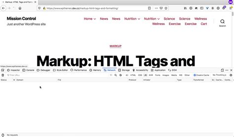 delay javascript execution wp rocket knowledge base