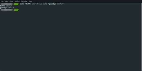 output text to the screen using the linux echo command