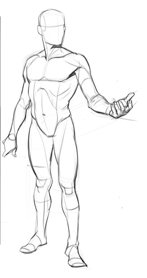 Anatomia Corpo Humano Desenho