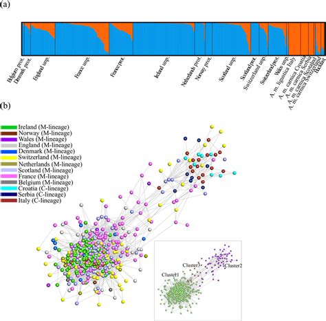 Structure Reconstructed By Admixture And Graphia Professional Software
