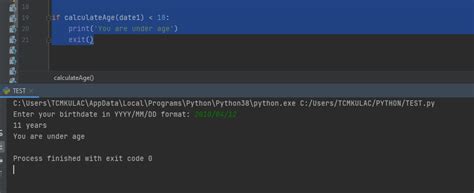 datetime convert a date into an integer in python stack overflow