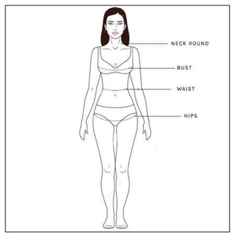 Perfect Body Ratio