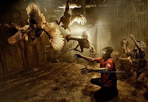 33 stunning photos from rarindra prakarsa
