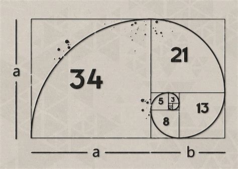 watercolor fibonacci spiral watercolor print fibonacci sequence numbers