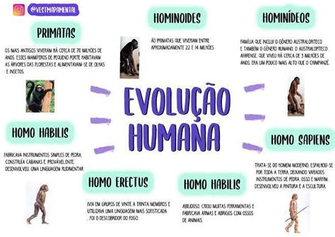 Mapa Mental Sobre A Evolução Humana Br