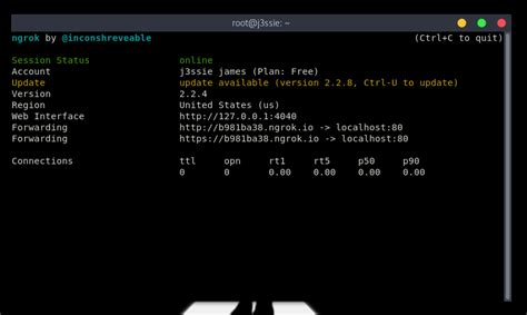 how to enable port forwarding in kali linux without router cherryfasr