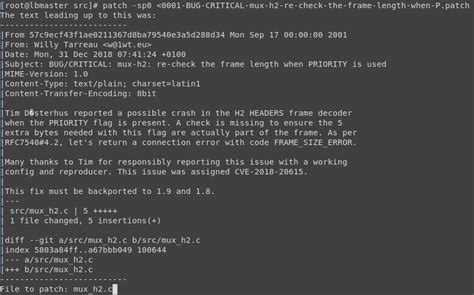 new year new vulnerability haproxy critical security update