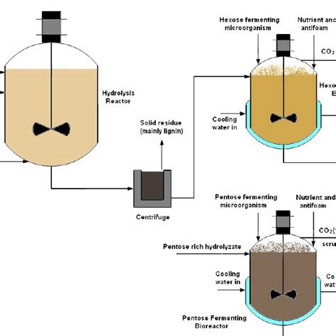 Simplified Process Flow Diagram For Separate Enzymatic Hydrolysis And