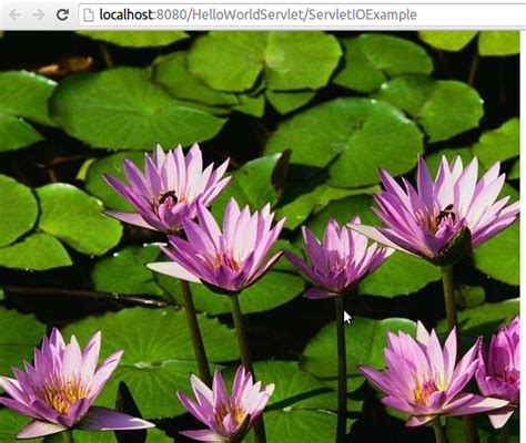 servletinputstream and servletoutputstream