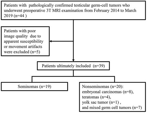 flow chart of patients inclusion and exclusion download