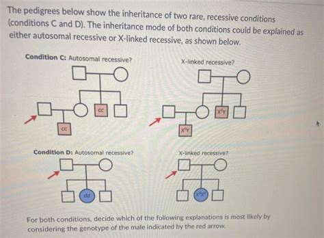 Solved The Pedigrees Below Show The Inheritance Of Two Rare