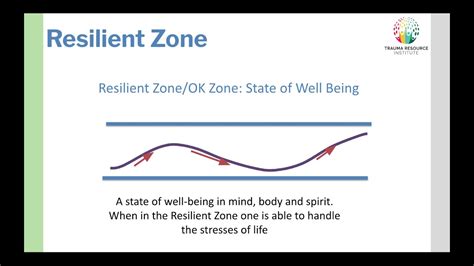 Key Concept 1 The Resilient Zone From The Community Resiliency Model