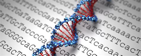 Pcr Primer Design Tips Behind The Bench 45 Off