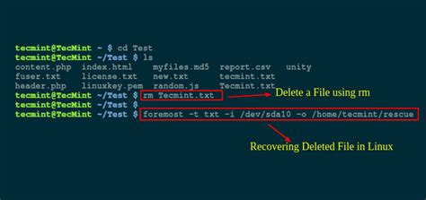 how to recover a deleted file in linux artofit