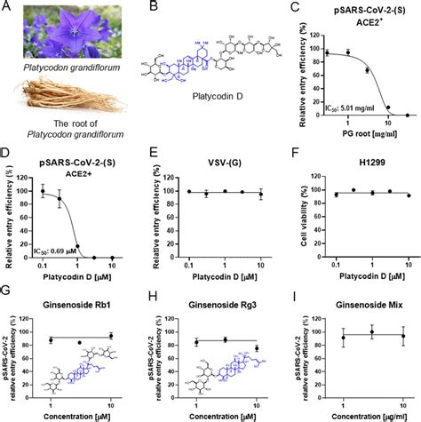 Platycodin D Prevents Both Lysosome And Tmprss2 Driven Sars Cov 2