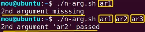 How To Check If An Input Argument Exists In Bash [4 Methods] Linuxsimply