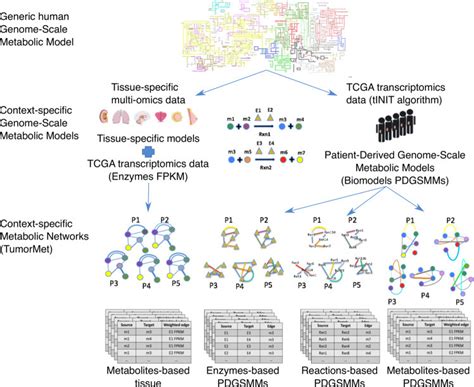 Network Biology Publications — Integrative Analysis Of Complex Cancer