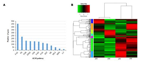 Figure 1 From Comparative Transcriptomic Analysis Of Two Brassica Napus