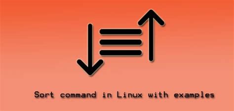 sort command in linux with examples linuxways