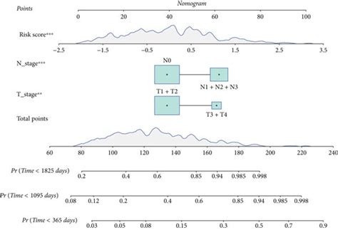 Nomogram Of The Prognostic Risk Model Combined With Clinicopathological