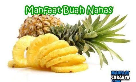 ️ Manfaat Dan Khasiat Buah Nanas Untuk Kesehatan Mulut Manfaatcaranya Com