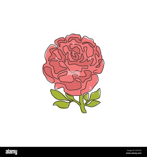 One Continuous Line Drawing Of Beauty Fresh Herbaceous Plant For Garden