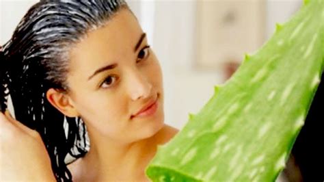 How To Use Aloe Vera For Hair Growth At Home Youtube
