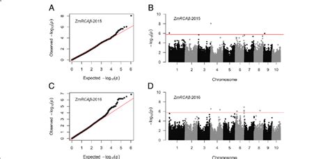 gwas for the expression of zmrcaβ a c quantile quantile