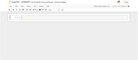 python connection to the jupyter notebook server could not be