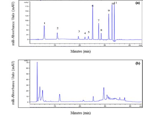 Hplc Chromatogram