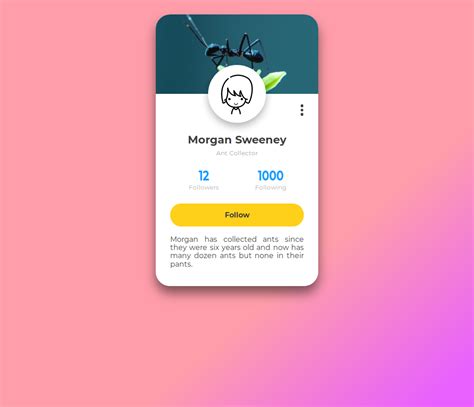 fairly colourful profile card in css website layout inspiration css
