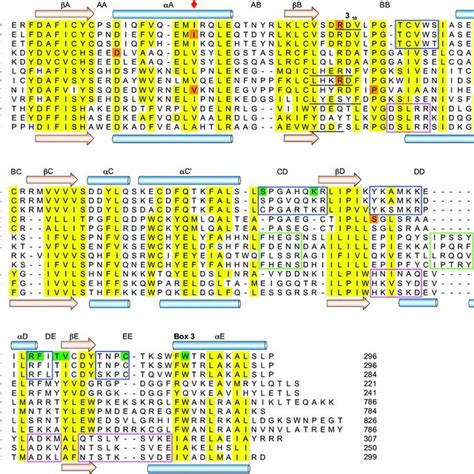 Fig S2 Sequence Alignment Of Selected Tir Domains Secondary