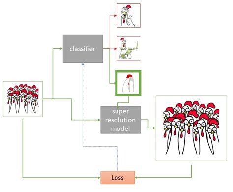 classification with multi dimensional labels vision pytorch forums