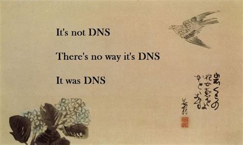 a haiku about dns it s not dns there is no way it s nixcraft