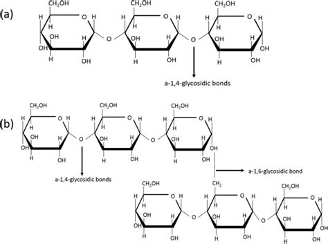 The Basic Structural Formula Of Corn Starch Download Scientific Diagram
