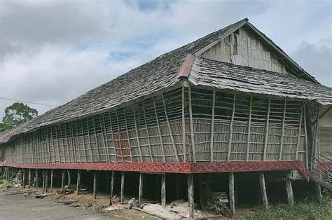 Sebagai Benteng Penjaga Tradisi Yuk Mengenal Rumah Adat Suku Dayak Di