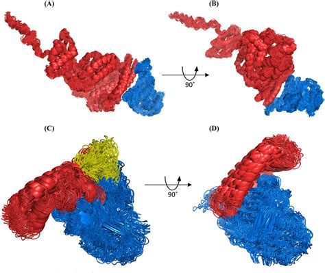 Pdb Trajectories Of The Intact Ace2 Rbd Aandb And Tace2 Rbd Complex