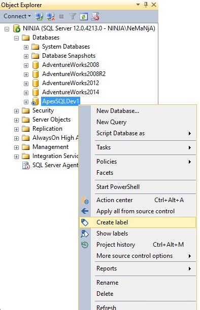 how to commit database objects to sql server database source control