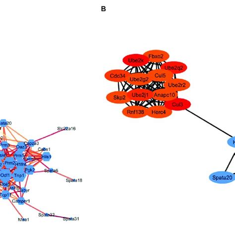 String Protein Protein Interaction Network A Visualization Of The