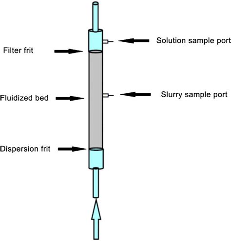 22 Proposed Fluidized Bed Reactor For The Online Hplc µ Extraction