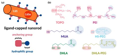 Catalysts Free Full Text Influence Of Surface Ligands On Charge