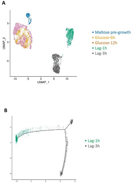 Figures And Data In A New Protocol For Single Cell Rna Seq Reveals
